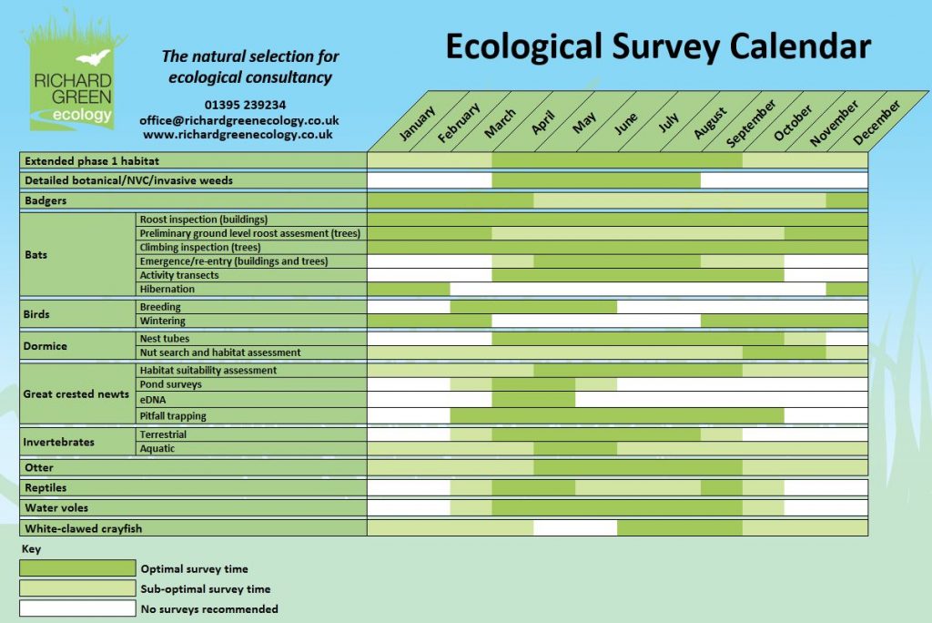 Richard Green Ecology Survey Calendar 2017 v2 | Richard Green Ecology