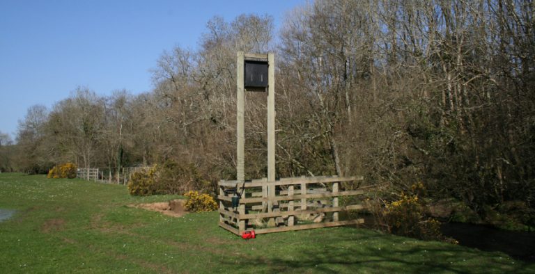 Successful bat mitigation examples | Richard Green Ecology