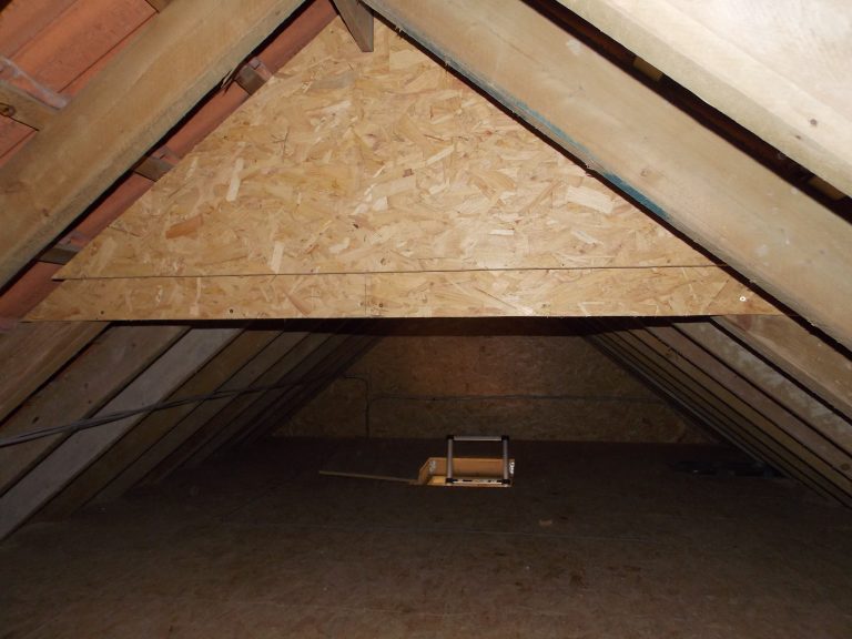 Successful bat mitigation examples | Richard Green Ecology