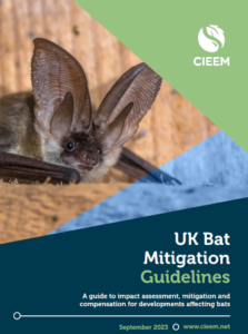 2023 UK Bat Mitigation Guidelines Published | Richard Green Ecology
